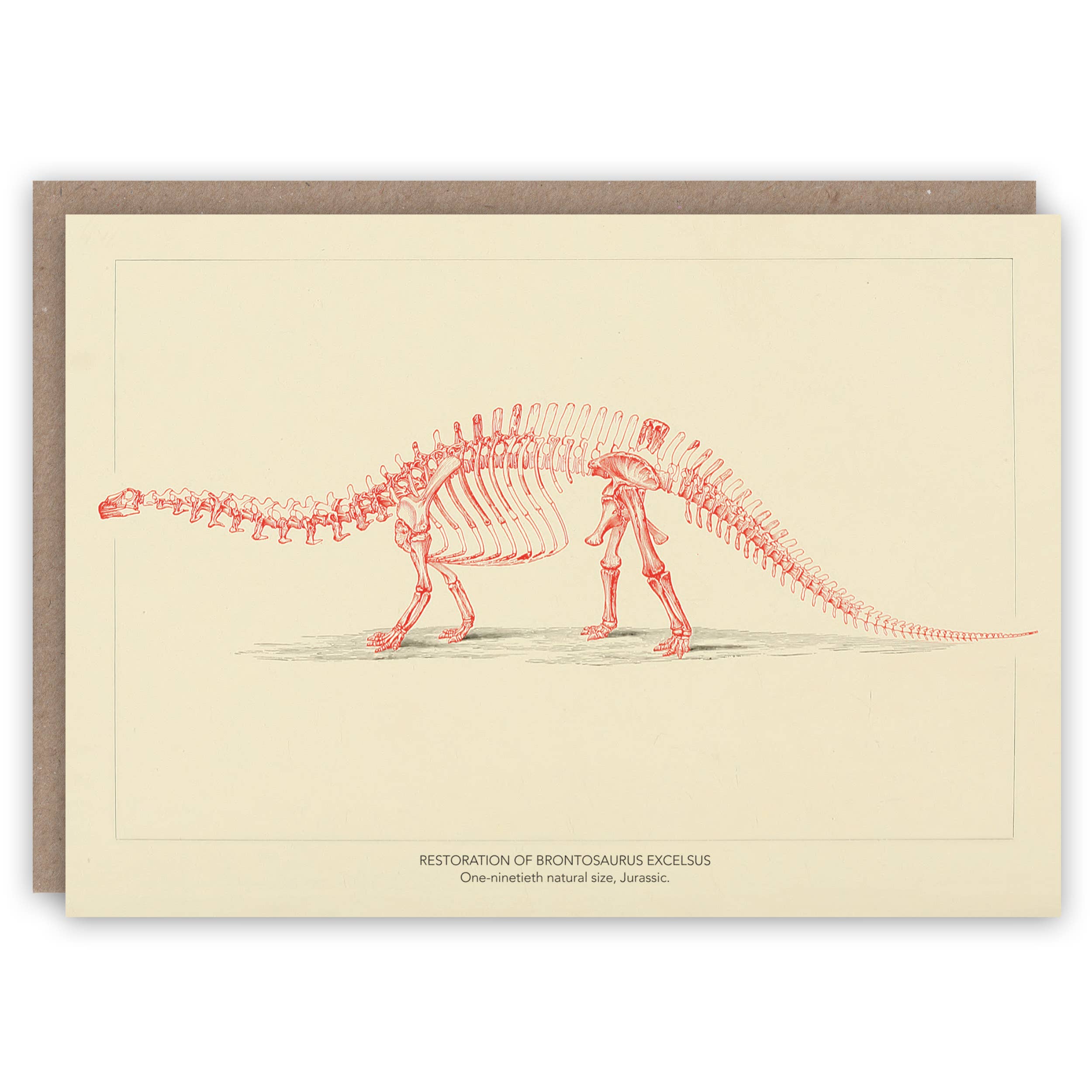 Brontosaurus Greeting Card – ROM Boutique