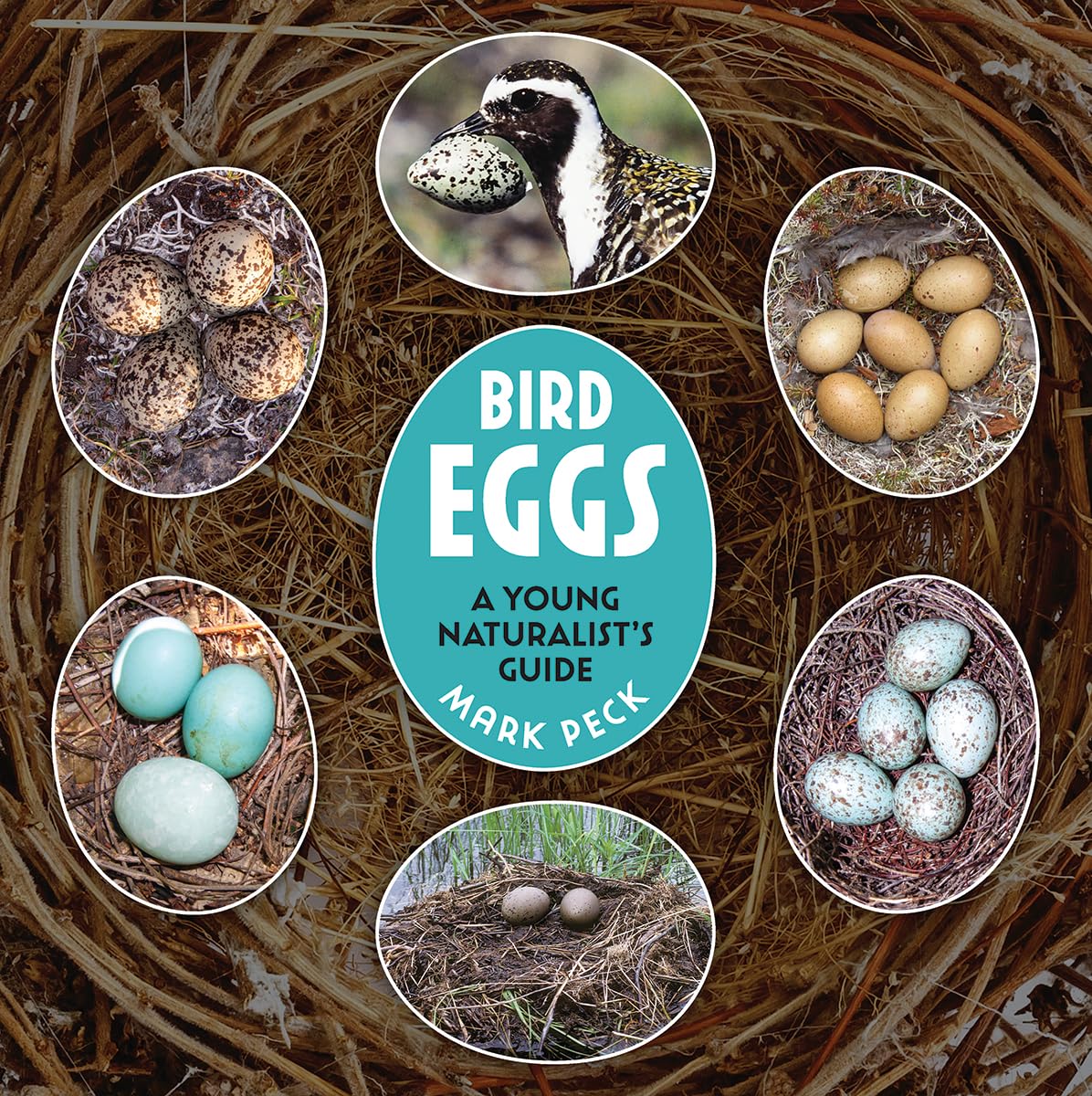 Bird Eggs: A Young Naturalist's Guide – ROM Boutique